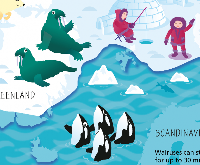 Children's Arctic and Antarctic Picture Map - Cosmographics Ltd